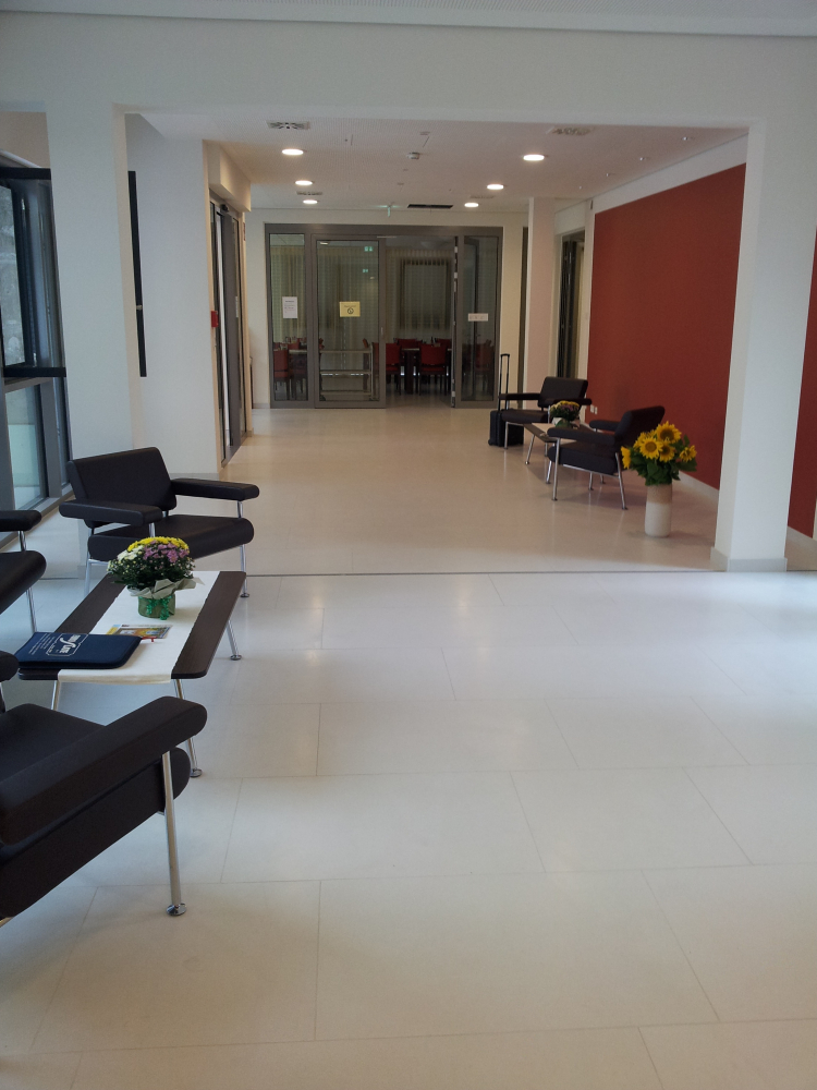 Crystal Nevada | Technistone